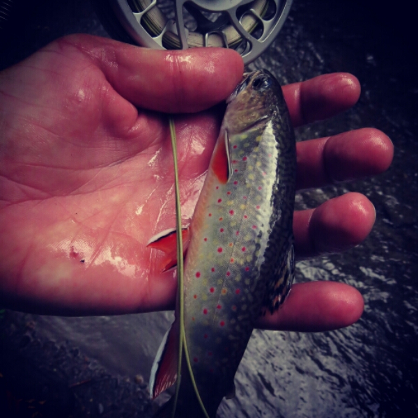 The Back of Beyond | R and R Fly Fishing