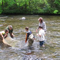 Stream Levels | R and R Fly Fishing