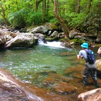 Fly Fishing Guides Townsend, Tennessee | R and R Fly Fishing