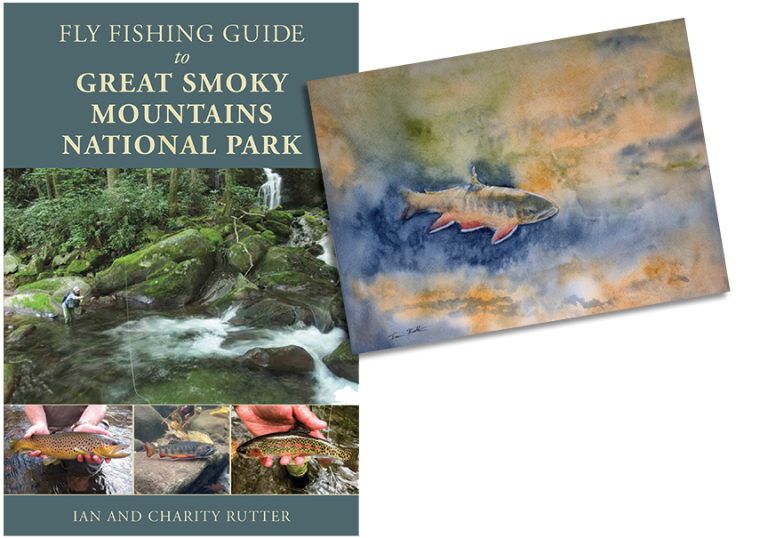 Fly Fishing Guide to Great Smoky Mountains National Park | R and R Fly ...