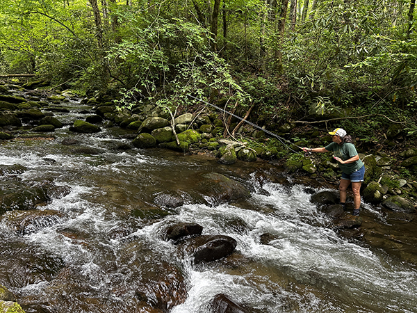 Ideal Summer Fly Fishing Conditions in the Great Smoky Mountains | R ...
